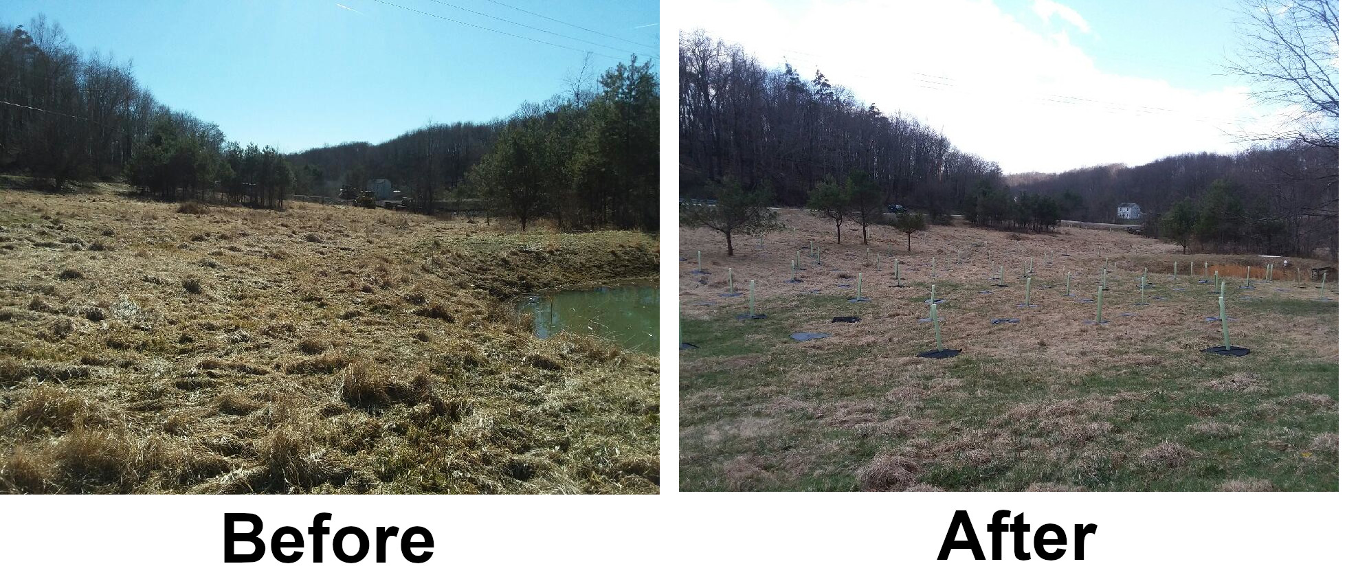First Project Completed through Multi-functional Riparian Buffer Sub ...