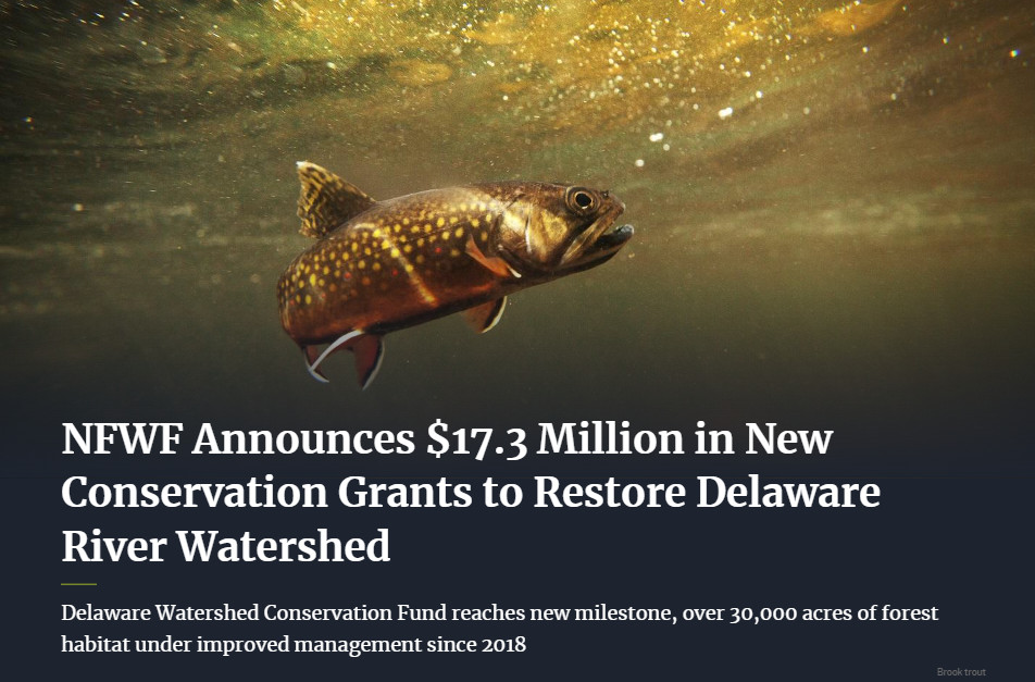 Berks County Conservation District Receives Grant to Restore Delaware ...