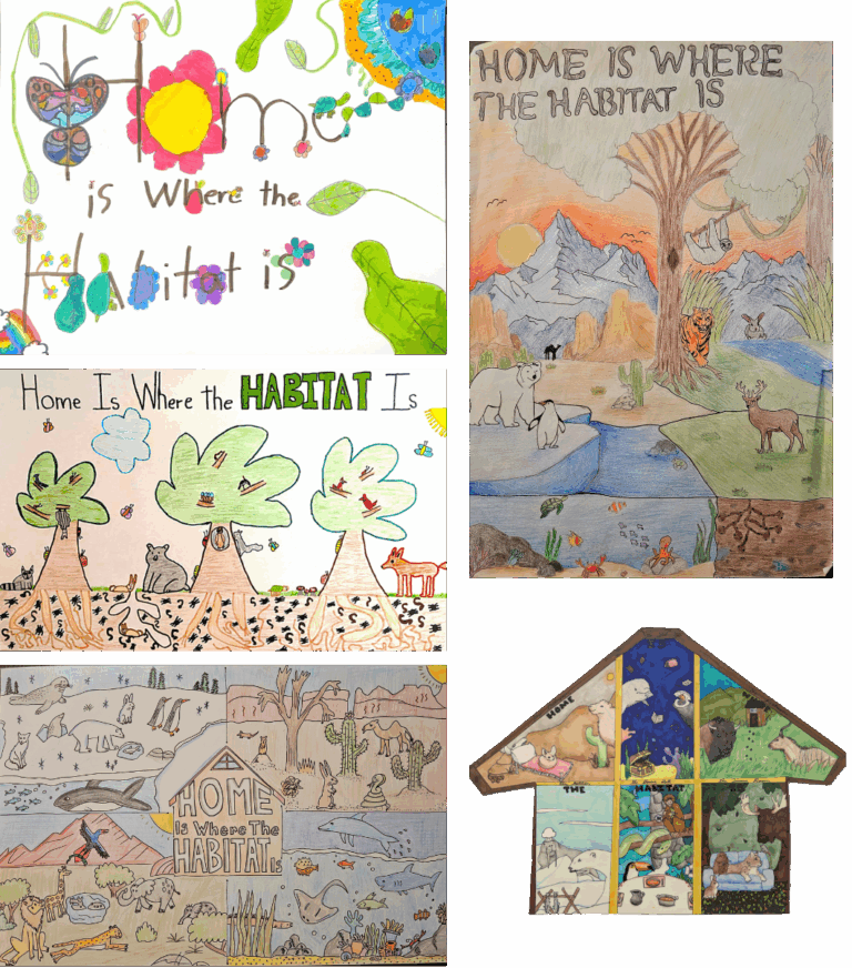 Winners Announced in State Poster Contest on Habitat » pacd.org